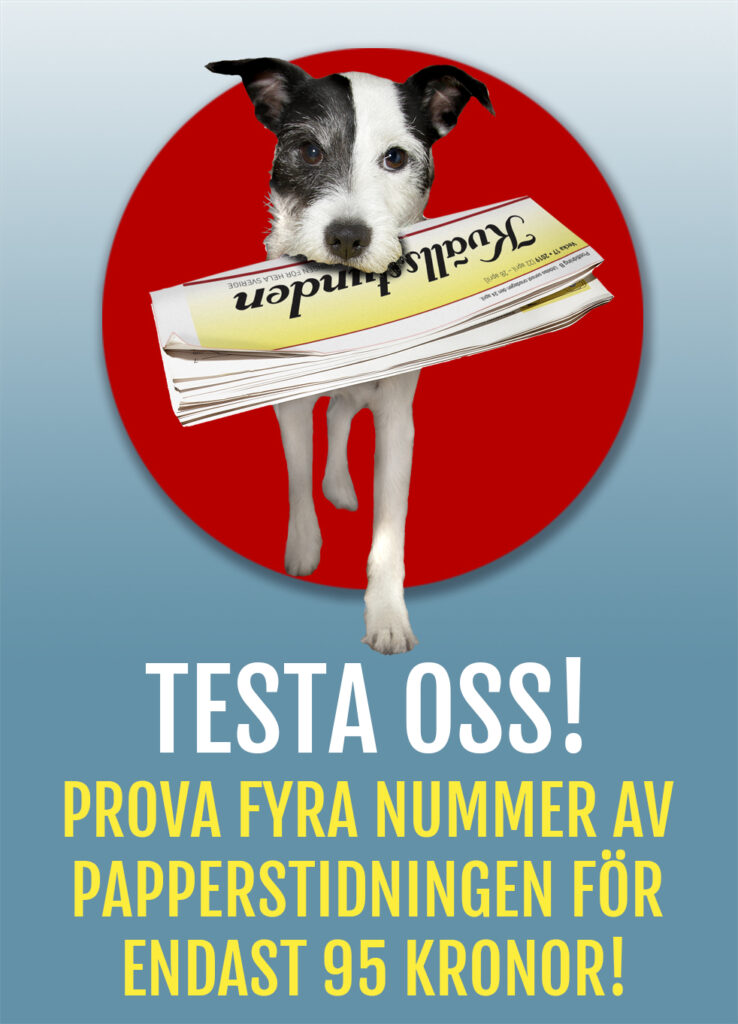 Hasse P satte Köping på världskartan – Kvällsstunden