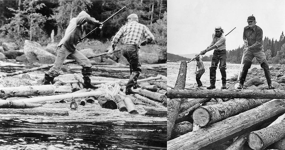 Flottning – ett både älskat och ett hatat jobb – Kvällsstunden
